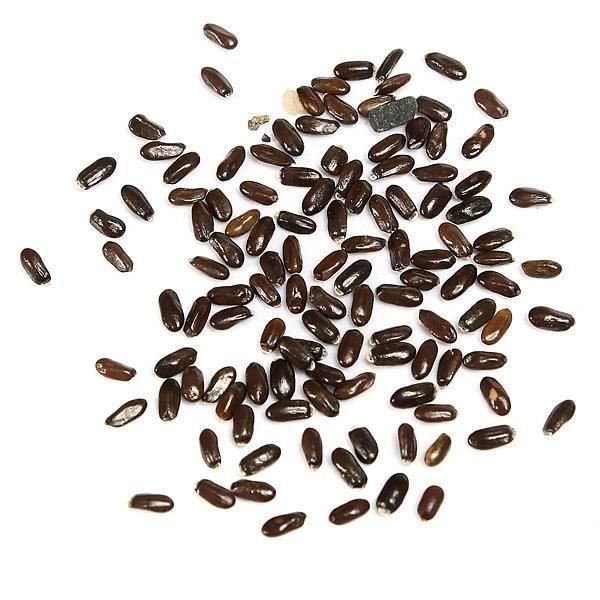 100pcs Graines de chou frisé vert légume rare jardin potage brassica ...