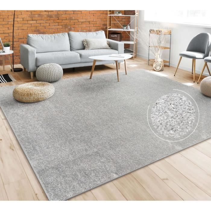 Tapis Salon Uni Sobre Et Moderne Poils Ras, Diff. Tailles-Coloris ...