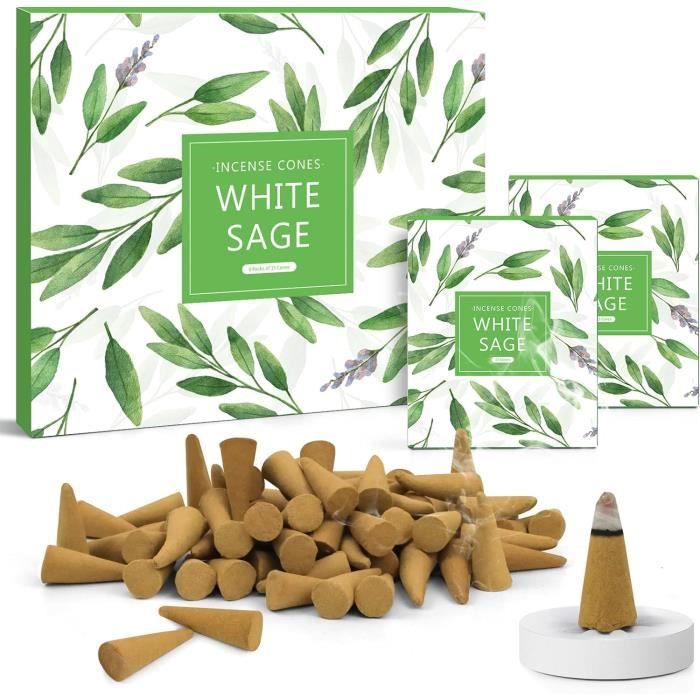SCENTORINI Cônes d'Encens, Assortiment Encens Cone 120pcs, Sauge ...