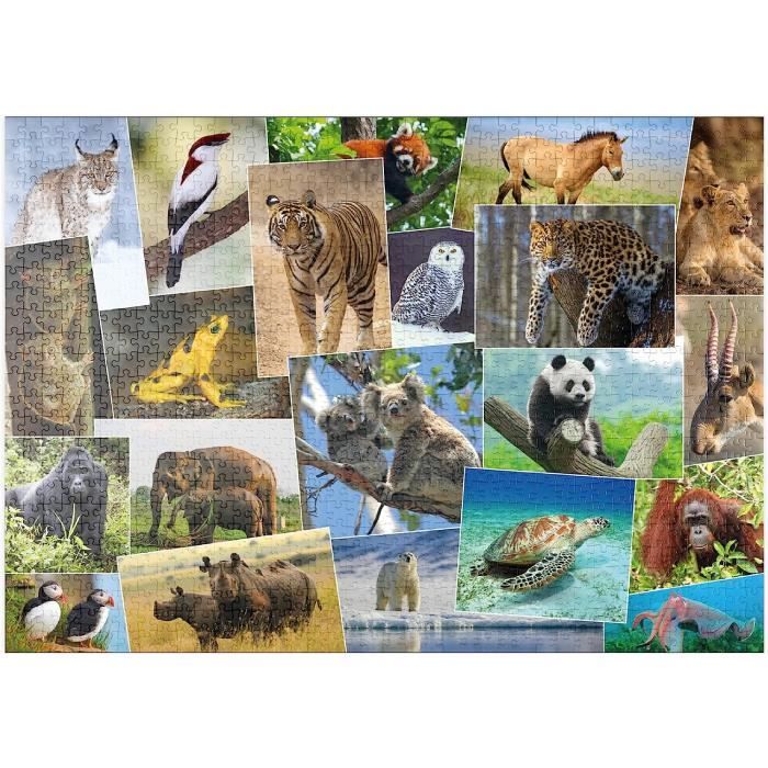 Espèces Menacées D'extinction Collage No Premium Pièces Puzzle ...