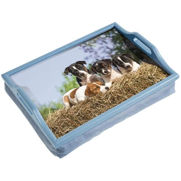 Plateau Pour Fauteuil Roulant - Limics24 - Repas - Cdiscount Santé ...