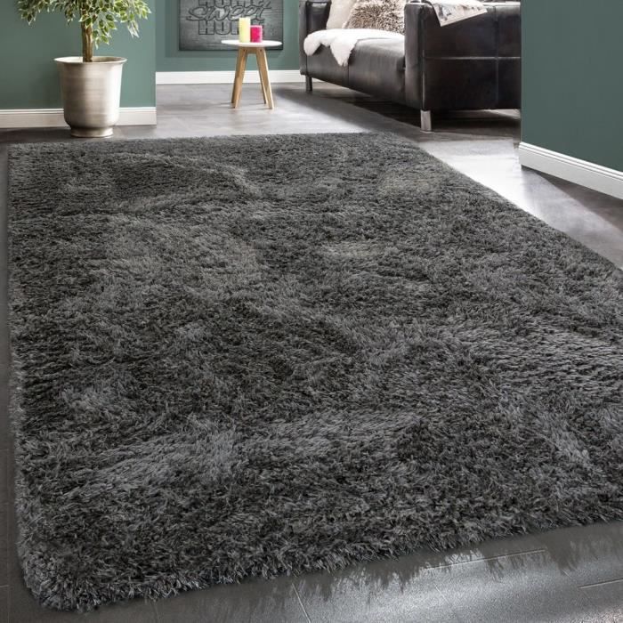 Tapis Poils Hauts Moelleux Moderne Shaggy Style Flokati Confortable Uni Anthracite [240x340 cm ...