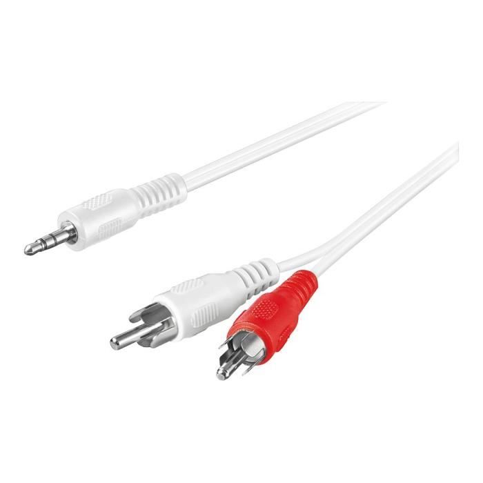 Goobay Câble audio mini stéréo-téléphone 3,5 mm (M) pour RCA (M) 1 m blanc - Cdiscount Informatique