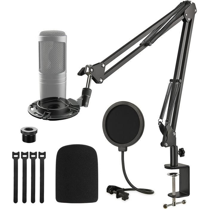 AT2020 Support de Microphone Réglable Bras de Suspension avec Filtre ...