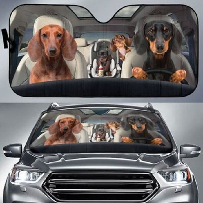 PARE SOLEIL,Gris foncé--Pare-soleil Pour Voiture, 57x27.5 Pouces, Husky ...