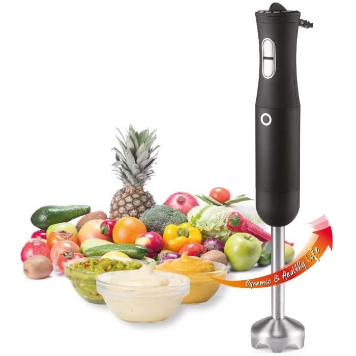 Axsom - mixeur à main vital pw1100 titanium - mixeur mini pimer avec ...