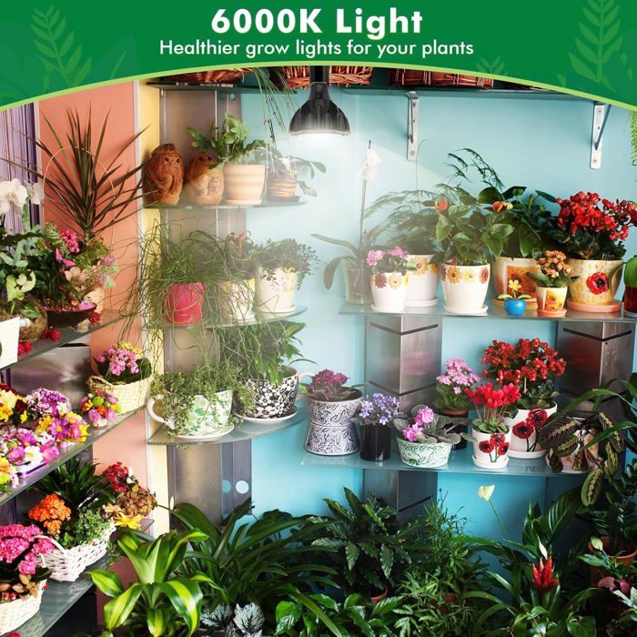 36W Lampe LED pour Plantes D'intérieur, 6000K Lampe Horticole LED ...