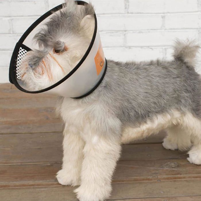 SUQ Collerette pour Chien, Anti-Morsure Cône Collerettes,Protection ...