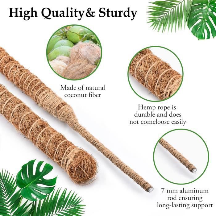 COZCLAM Tuteur Plante Grimpante, 2 x 75cm Tuteur Monstera, Support de ...