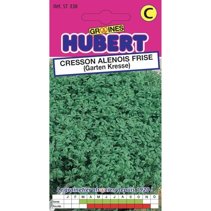 Graines De Cresson Alénois - 5 Grammes[z3728] - Cdiscount Jardin