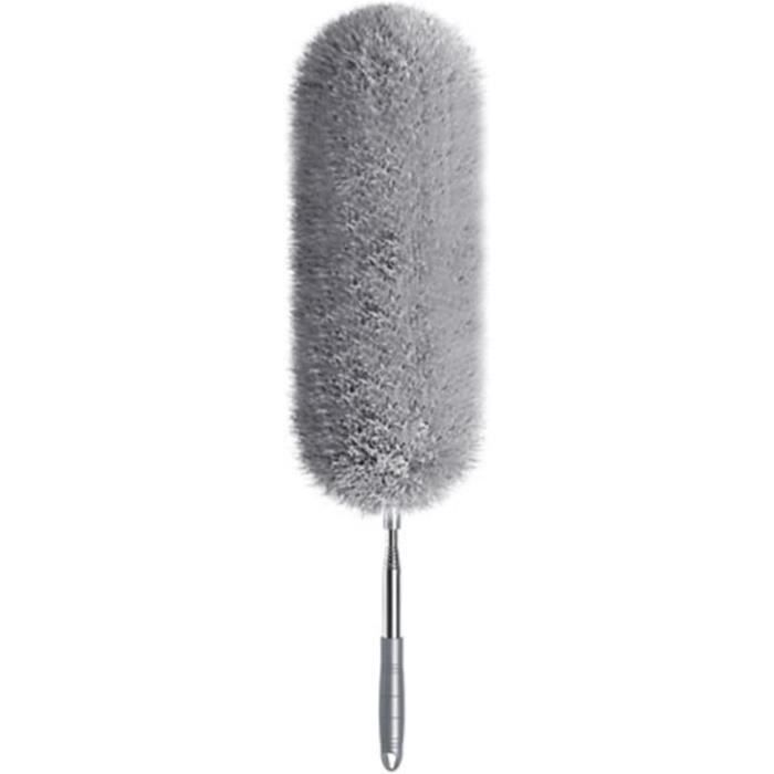 Plumeau Pour Le Nettoyage, Plumeau Long, Nettoyeur De Poussière À ...