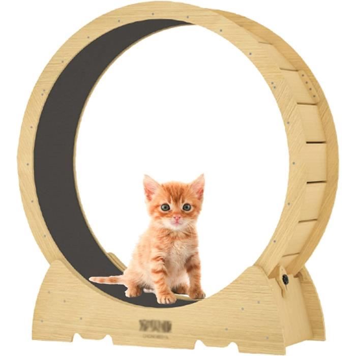 Roue Chat Roue de Chat D'exercice Anti-pincement pour Chats D'intérieur ...