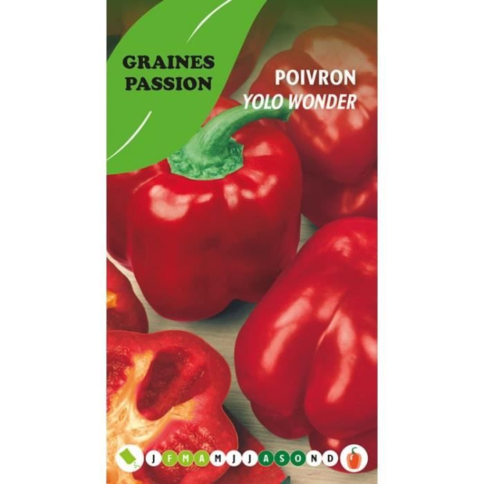 Graines passion, sachet de graines Poivron Yolo Wonder - Cdiscount Jardin