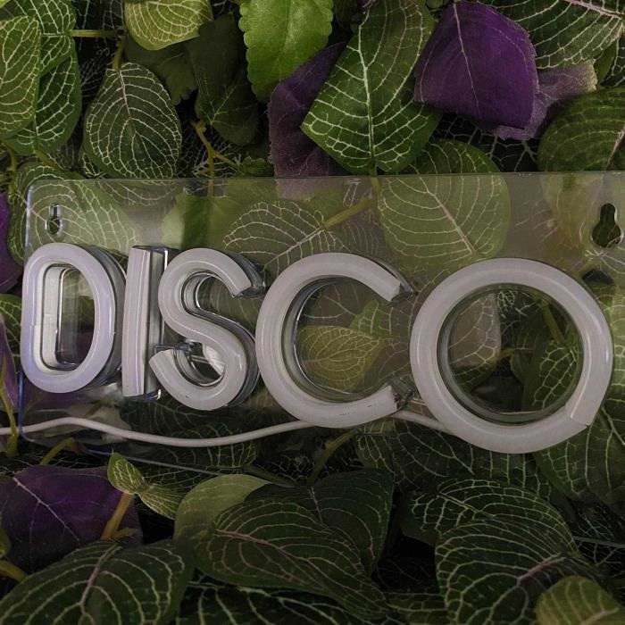 Disco Bleu Néon Led Néon Panneau De Publicité Lampe Art Fête Décoration ...