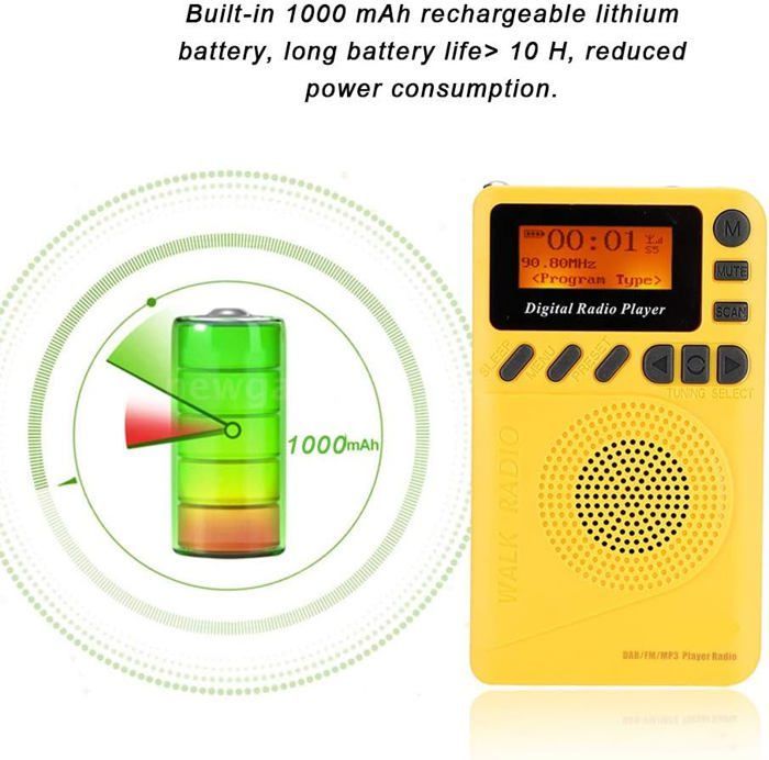 Mini Radios Portables, Récepteur Stéréo de Radio Numérique Pocket Dab ...