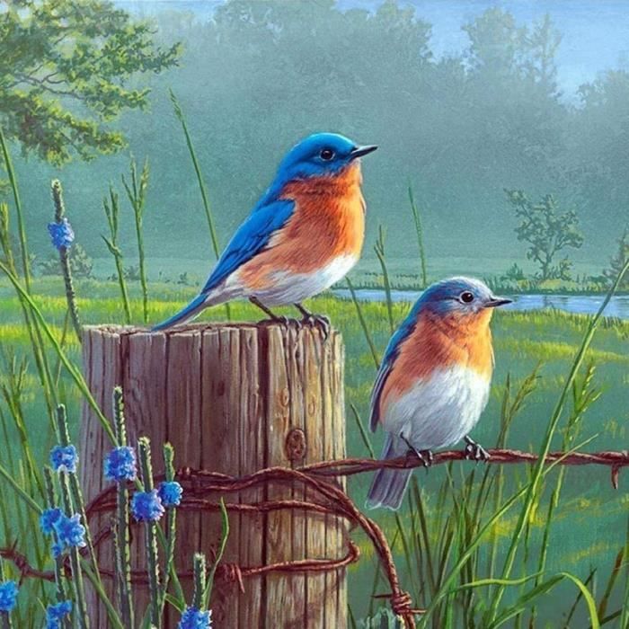 Canevas Diamant Kit Complet,Diamant Mosaïque Oiseau 5D Bricolage ...