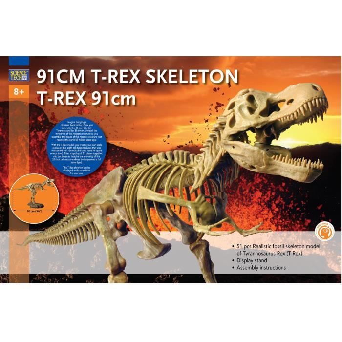 Squelette T-Rex - Science Tech - Cdiscount Jeux - Jouets