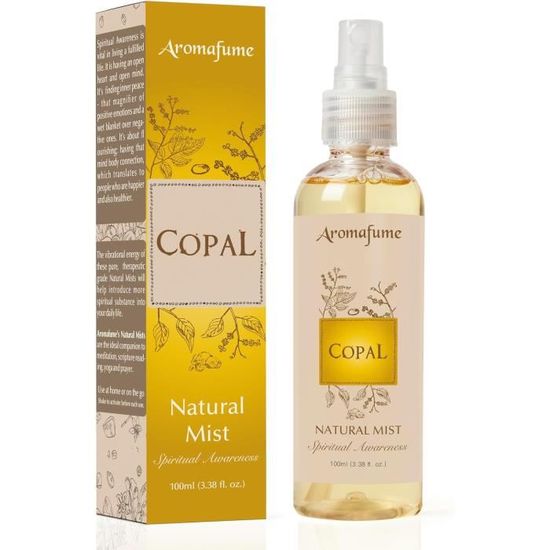 Assainisseur Dáir Spray Copal 100 Ml[s1902] - Cdiscount Maison