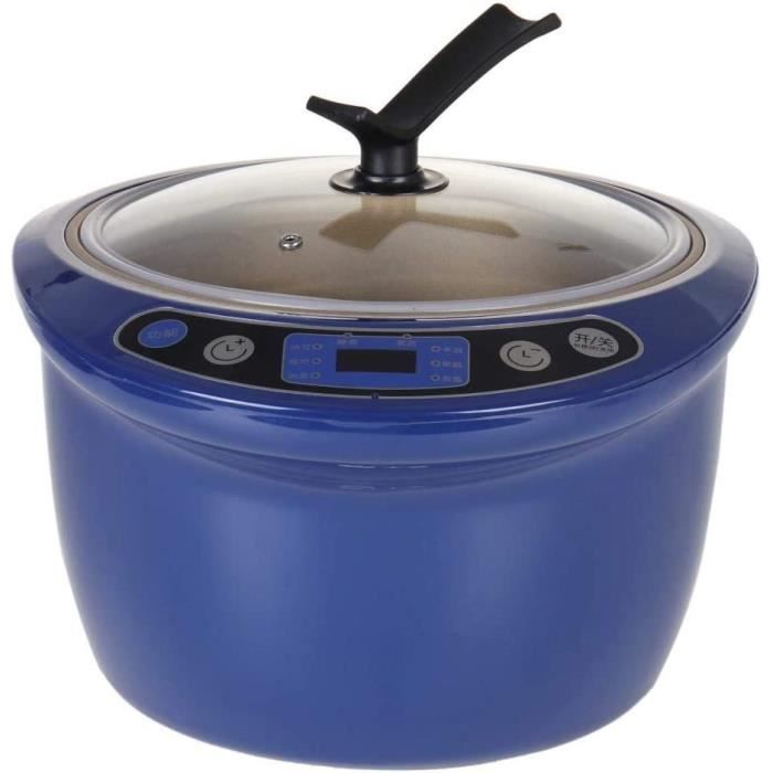 Machine à yogourt 6L Noir Ail Fermenter Grande Capacité Accueil DIY ...