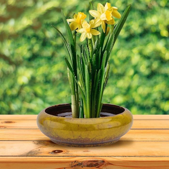 Petit pot de fleurs jaune en céramique avec trou pour , bonsaï, pot de ...