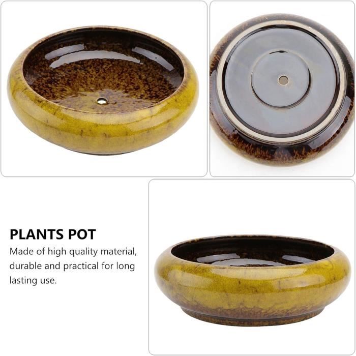 Petit pot de fleurs jaune en céramique avec trou pour , bonsaï, pot de ...
