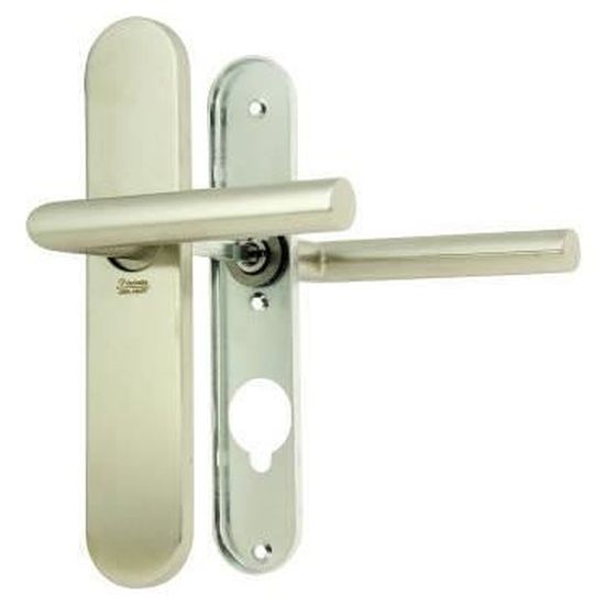 VACHETTE Ensemble de porte LINOX 493 plaque 195 mm inox bec de cane ...