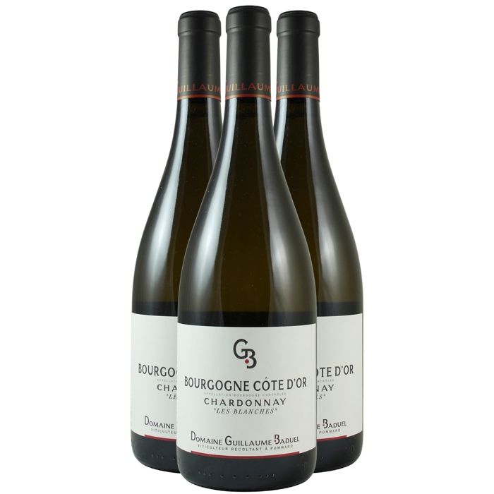 Domaine Guillaume Baduel Bourgogne Côte-d'Or 2019 - Vin Blanc de ...
