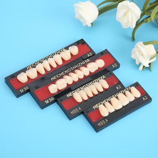 CHE dent en résine synthétique Résine Acrylique Fausses Dents Matériel ...