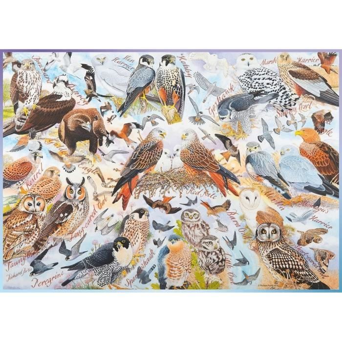 Puzzle 1000 Pièces Pour Adultes Mini Puzzles Hibou Et Aigle Ados ...