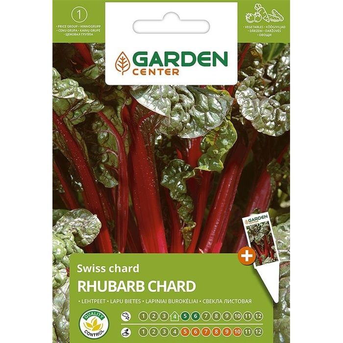 Bette à carde à la rhubarbe Mongold, Garden Centre - Cdiscount Au quotidien