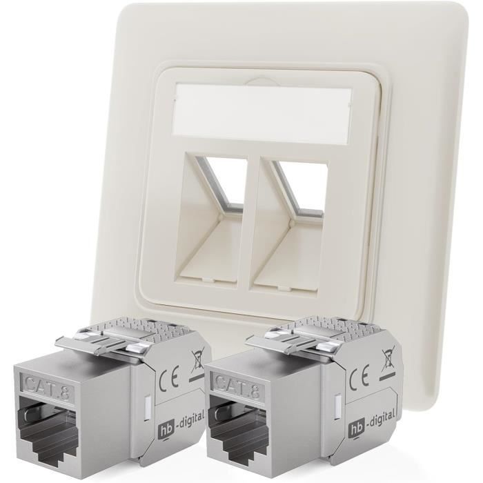 Kit : Prise Réseau 2 Ports Ral9010 Blanc Pur + 2 Modules Cat.8 Keystone ...