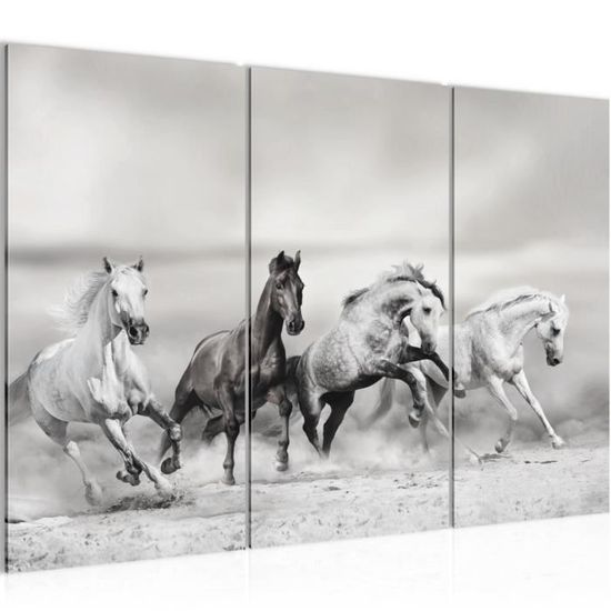 Runa art Tableau Décoration Murale Chevaux 120x80 cm - 3 Panneaux Deco ...