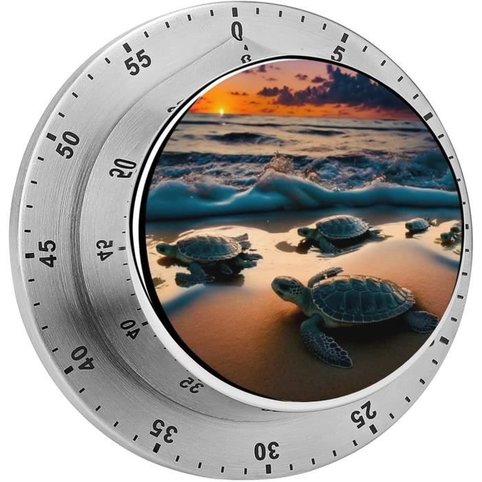 Time Timer, Sea Turtle (4) Compte À Rebours Silencieux, Outil De ...