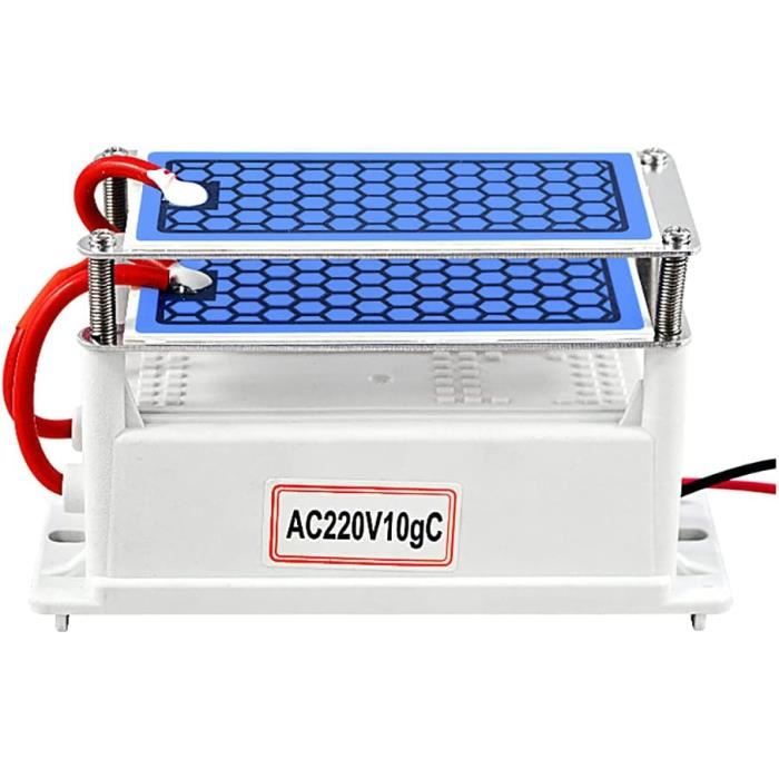 Portable Ceramic Ozone Generator 220V 10G Integrated Ceramic Plate Ozonizer Air And Water ...