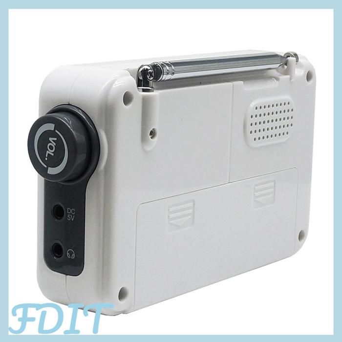 GOTOTOP Radio portable Radio AM/FM portable avec écran LCD, radio ...