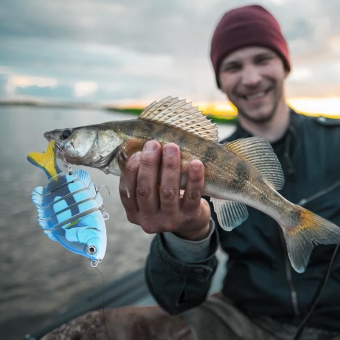 EBTOOLS appât à poisson Forme de tilapia de leurre de poisson d'appât ...