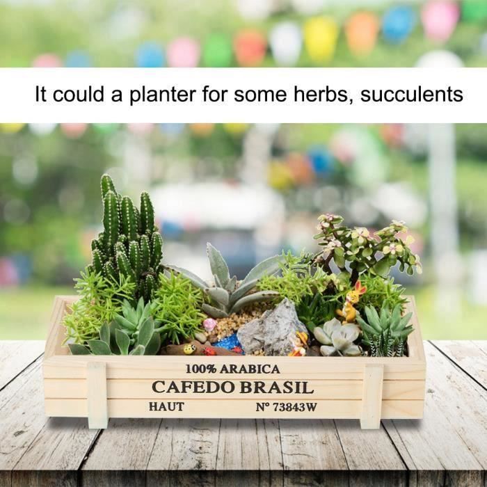 Wind-CHE Multifunctional Wooden Succulent Flower Pot Storage Box ...