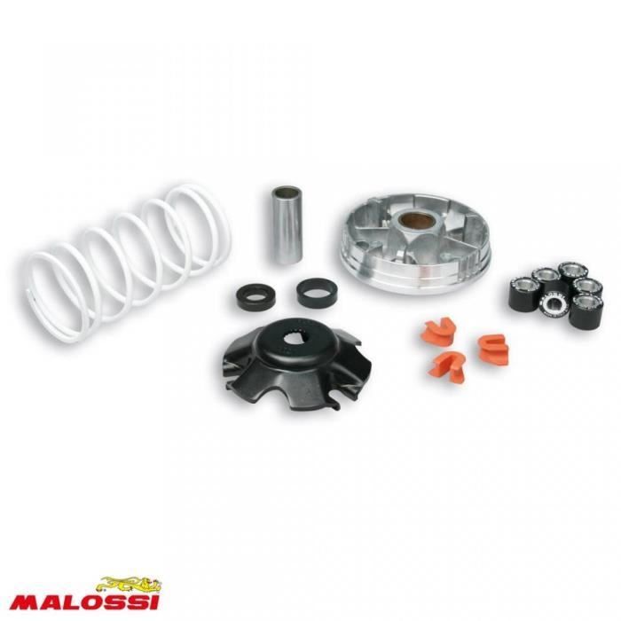 Variateur Malossi Multivar scooter Piaggio 50 Zip 2T 2000 51 9019 Neuf ...