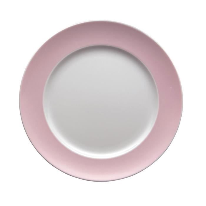 Assiette Plate 27 cm Porcelaine Thomas Sunny Day Plat de Sercive ...