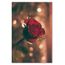 Tableau Décoration Murale Fleur Rose rouge 40x60 cm Impression sur ...