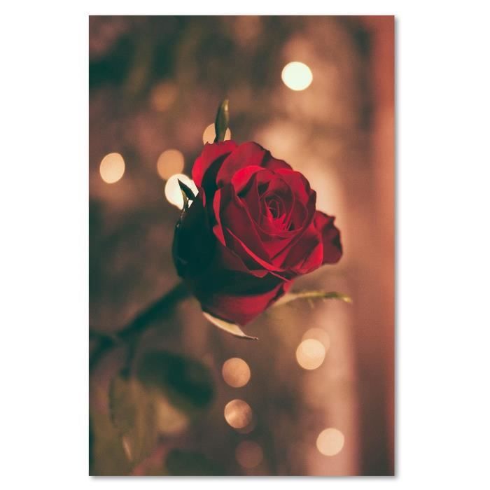 Tableau Décoration Murale Fleur Rose rouge 40x60 cm Impression sur ...