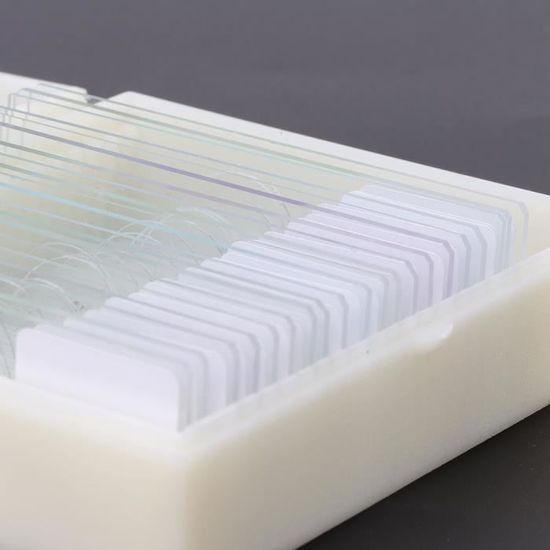 TMISHION Lame de microscope 20pcs Bactérie Microbiologique, Spécimens ...