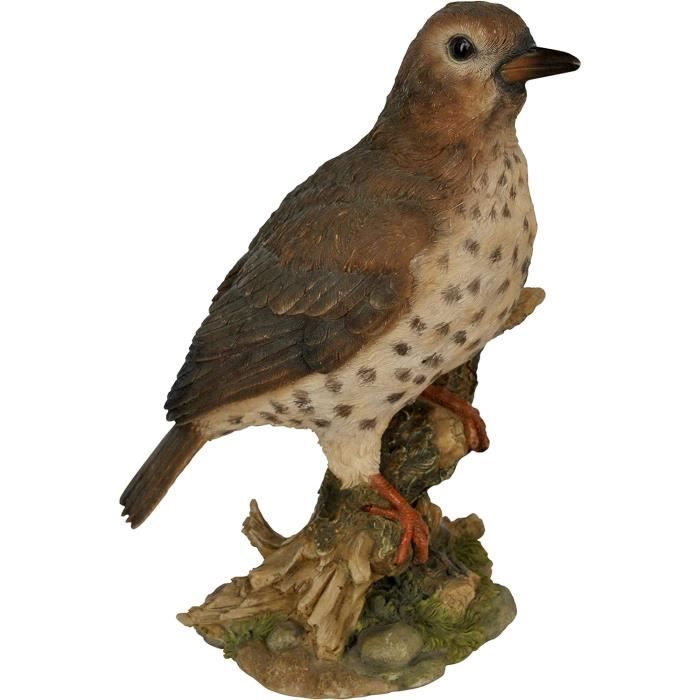 Statue Grive réelle en résine durable pour décoration de jardin - Vivid ...