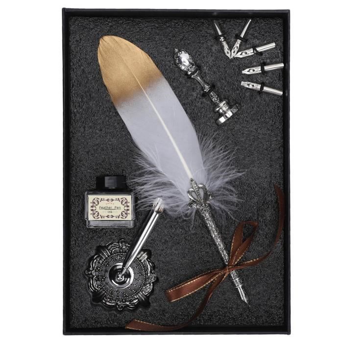 Fdit Kit stylo plume Kit Stylo à Plume Stylo à Dessin d'Écriture ...