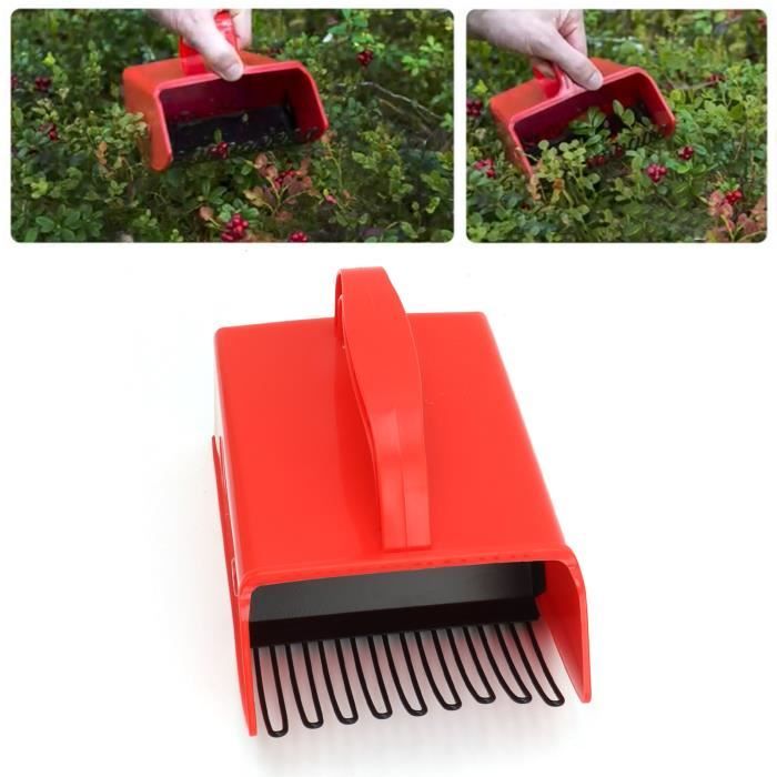 Cueilleur de myrtilles Blueberry Picker Scoop Berry Rake Hand Garden ...