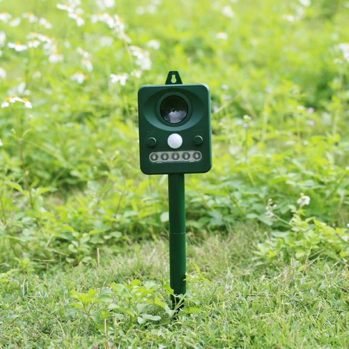 Détecteur ultrasonique d'oiseau de sonde infrarouge de mouvement ...