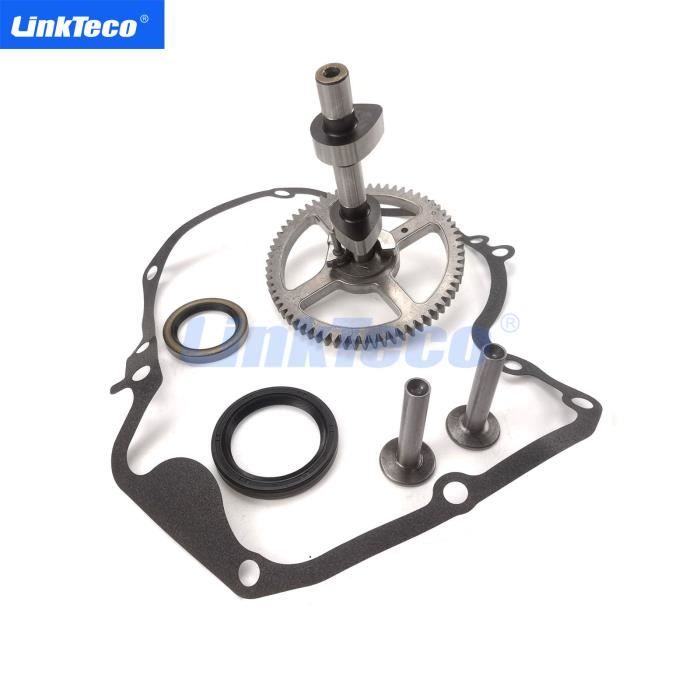 Pour Briggs & Stratton 793880 arbre à cames 793583 792681 791942 795102 ...