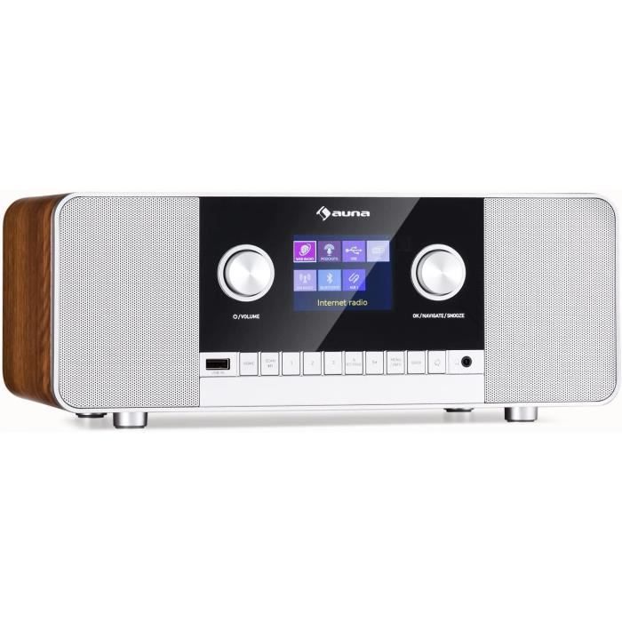 Auna Radio Portable Bluetooth et Rechargeable, Poste Radio Numérique ...