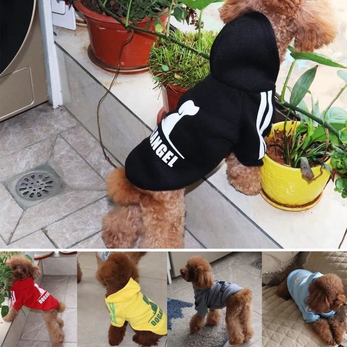 Vêtement Chihuahua, Élégant Chien À Capuche Vêtements Pour Chiens ...