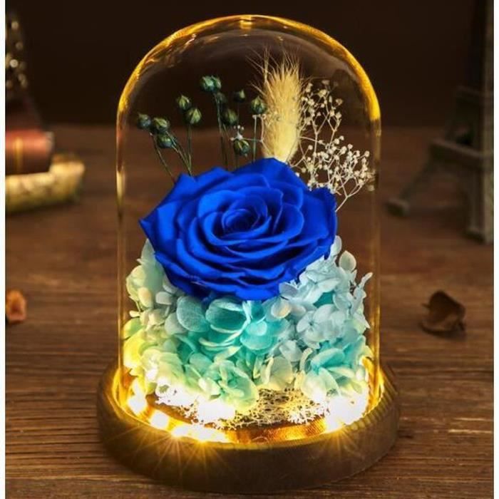 FLEUR STABILISEE - FLEUR ETERNELLE La Rose Eternelle et lumière LED ...